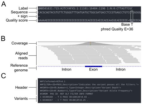 A Bioinformatics Toolkit For Next Generation Sequencing In Clinical