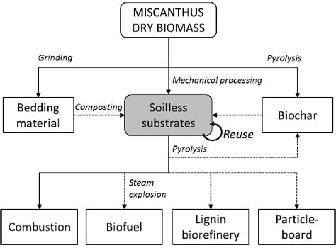 Proposed Cascade Utilization Pathways For Miscanthus As Growing Download Scientific Diagram