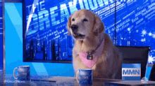 Anchorman Baxter Bridge 