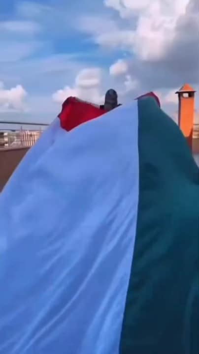 Alishba Shahzad On Linkedin Free Palestine