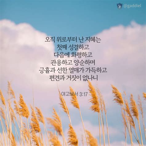 [성경 말씀 배경화면 무료 다운] 핸드폰 고화질 배경화면 공유 야고보서 3 17 갤럭시 아이폰 모바일 가을 감성 배경 좋은