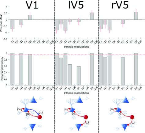 Intrinsic Connectivity Modulations The Figure Reports The Group Level Download Scientific