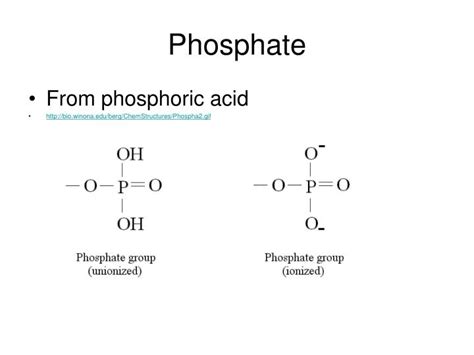 PPT DNA PowerPoint Presentation ID 3780026