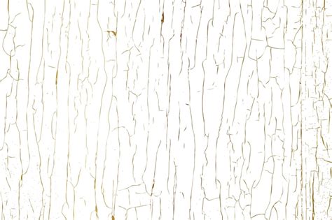 Stalk Texture Inventors Bundle Evergreen Basic Texture