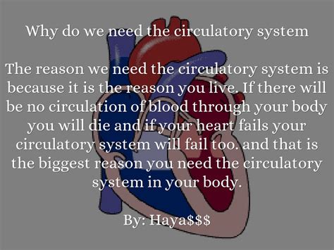 The Circularity System By Qwerty31