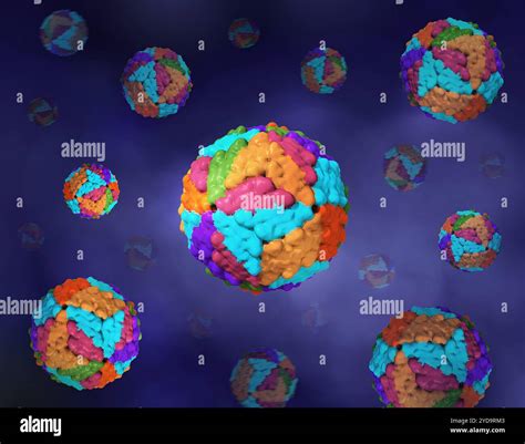 Layout Featuring 3d Print Imagerystructural Model Of Dengue Virus