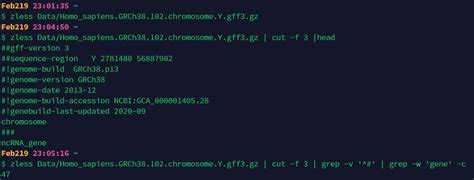 linux 三大马车——grep sed awk 腾讯云开发者社区 腾讯云