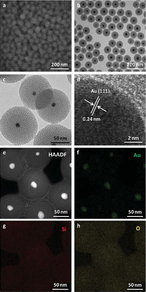 A SEM B TEM C And D High Resolution TEM E High Angle Annular Download Scientific