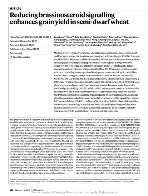 PDF Reducing Brassinosteroid Signalling Enhances Grain Yield In Semi