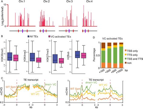 Figures And Data In Natural Depletion Of Histone H1 In Sex Cells Causes
