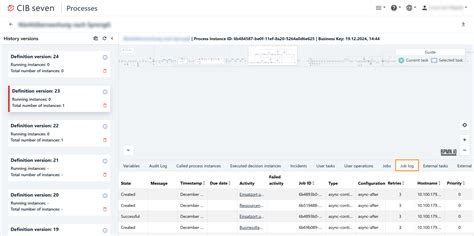 Process Instance View