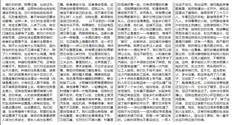 Multi Column Layout Elements And Grid Layout Basics