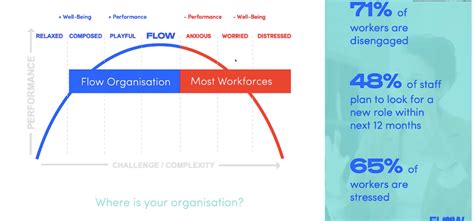 Flow Organisations What Has Flow Got To Do With The Workplace