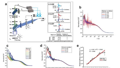 Polarization Dependent Fluorescence Correlation Spectroscopy