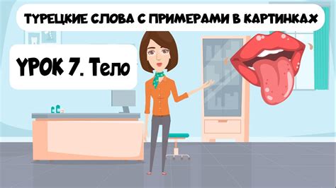 Слова на турецком языке в картинках с примерами Урок 7 Части тела Youtube