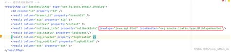 Blob类型的报错no Typehandler Found For Propertyno Typehandler For Property