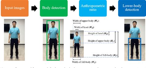 Figure 1 From Anthropometric Ratios For Lower Body Detection Based On
