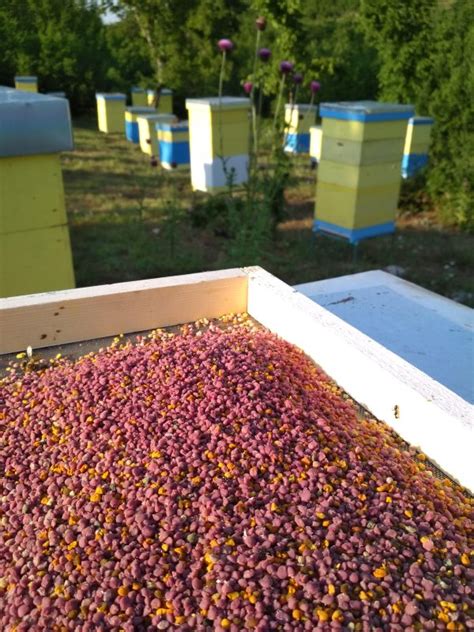 Пчелен прашец 500 г Пчелно стопанство Панов