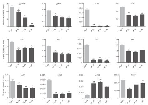 Figure 1 From Exploring The Terminal Pathway Of Sex Pheromone Biosynthesis And Metabolism In The
