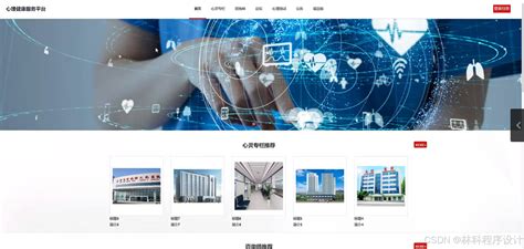 node js毕设基于java的心理健康服务平台 论文 程序 csdn博客