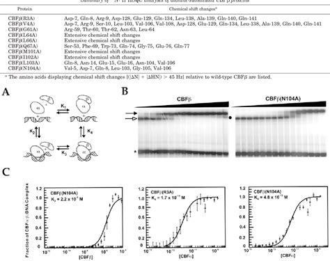 Core Binding Factor Beta Subunit Semantic Scholar