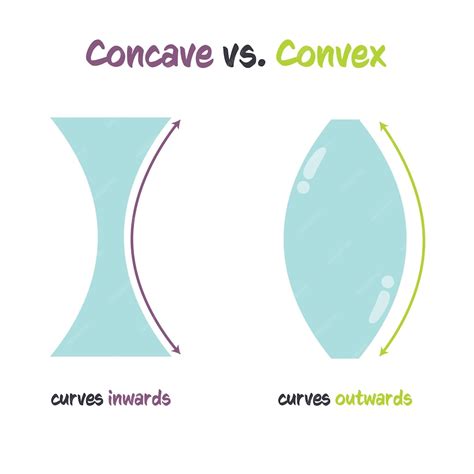 Premium Vector Concave Versus Convex Vector Illustration Infographic