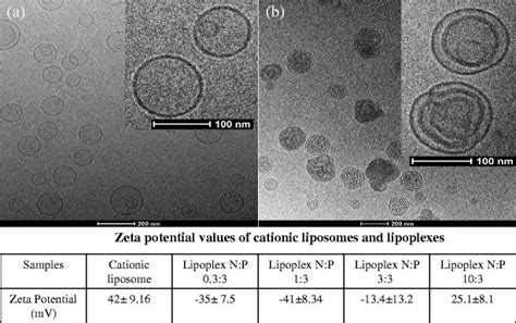 Clipos™ Fitc Dextran Labeled Dotap Liposomes Cd Bioparticles