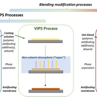 Schematic Of Phase Inversion Processes For The Formation Of Flat Sheet Download Scientific