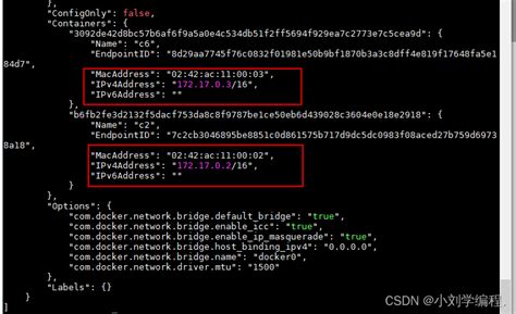 Docker网络模式详解 Csdn博客