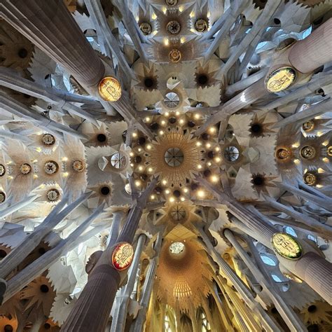 바르셀로나 사그라다 파밀리아 내부 차량 반일 프리미엄 가우디 투어 구엘공원사그라다파밀리아성당 내부 투어입장권확보중