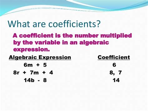 Algebraic Expressions And Terms