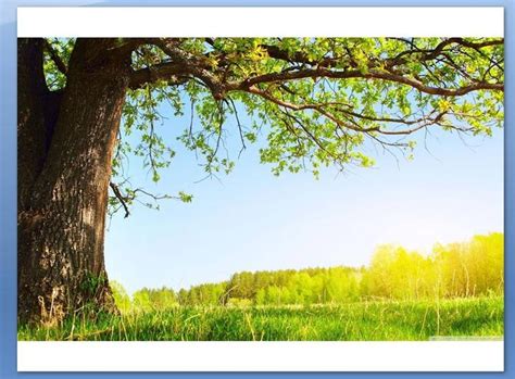 Oracle—多表连接，组函数，分组查询，子查询 知乎