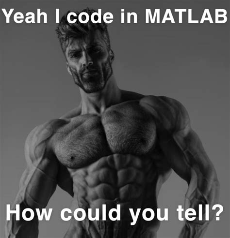 only language i know r programmerhumor
