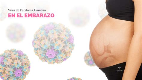 El Papel Del Virus De Papiloma Humano Vph En El Embarazo