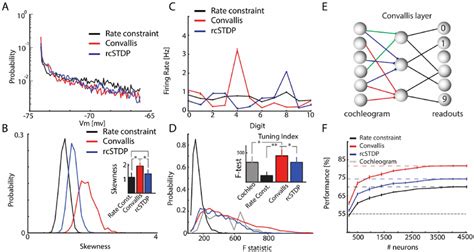 Feed Forward Processing Of Speech Data A Histogram Of Subthreshold Download Scientific
