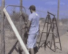 Lion Hugging Man GIFs Tenor