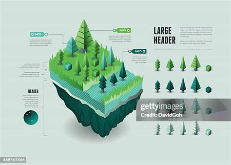 Tree Graph Photos And Premium High Res Pictures Getty Images