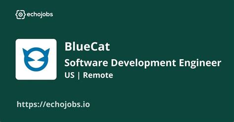 Bluecat Is Hiring Software Development Engineer Us Remote Gcp React