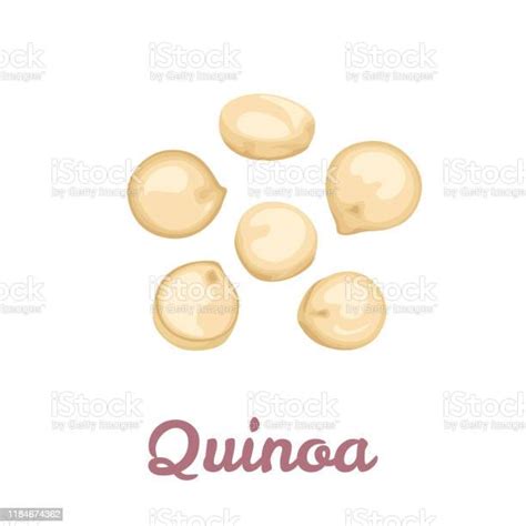 흰색 배경에 격리 된 퀴노아 씨앗 아이콘입니다 만화 간단한 플랫 스타일의 슈퍼 푸드 벡터 일러스트레이션 글루텐 프리 곡물 0명에 대한 스톡 벡터 아트 및 기타 이미지