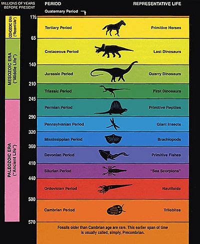 Geologic Column CreationWiki The Encyclopedia Of Creation Science