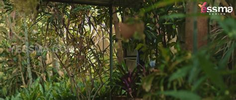 Celins Affair Webseries Hd Part 1 Eporner