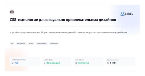 Css технологии для визуально привлекательных дизайнов Labex