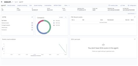 Wazuh Agent As A Docker Image DEV Community
