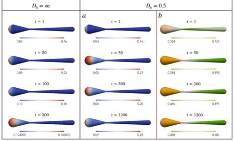 Bulk Polarisation Induces Surface Polarisation Here The Reduced Download Scientific Diagram