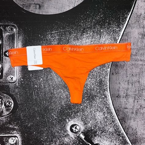 Calvin Klein Underwear Intimates And Sleepwear Nwt Calvin Klein Panties Poshmark