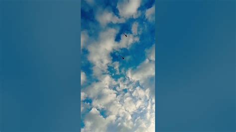 නිල් අහසේ පියාඹන කුරුල්ලෝ Flying Birds At The Blue Sky 🤗🔥🤗 Youtube