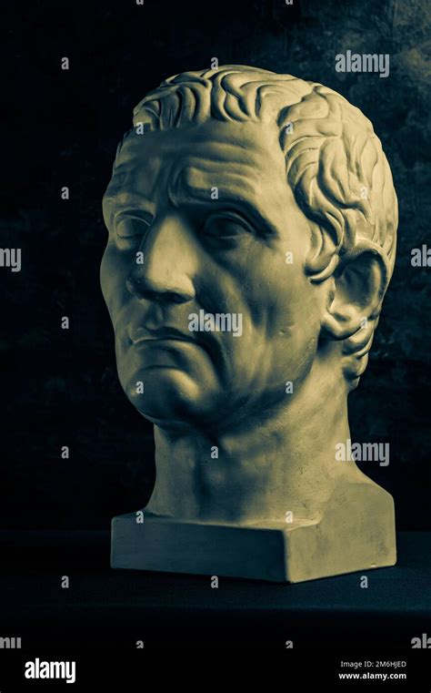 Bronze Color Gypsum Copy Of Ancient Statue Of Guy Julius Caesar Octavian Augustus Head For