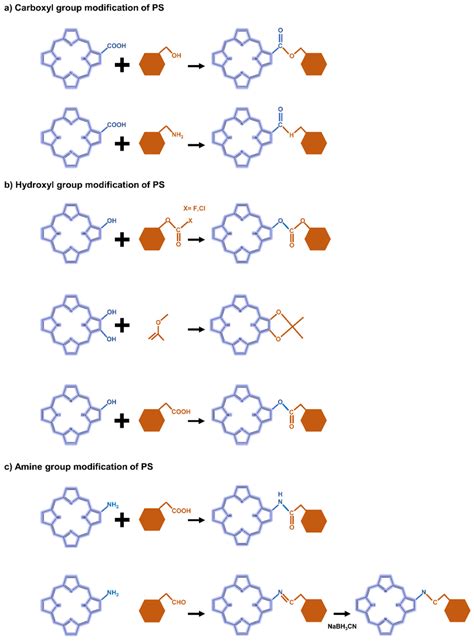 Representative Reactions To Modify The Functional Groups Of Download Scientific Diagram