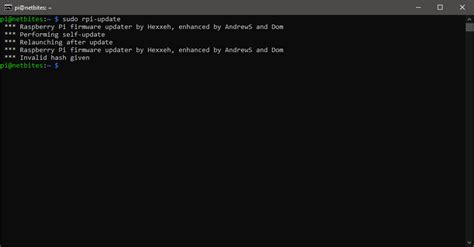 Invalid Hash Given · Issue 303 · Hexxehrpi Update · Github