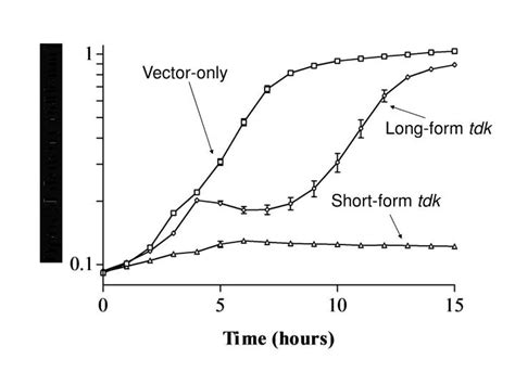 PPT Vector Only PowerPoint Presentation Free Download ID 6116076